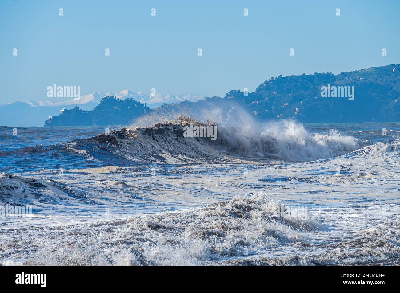 Big wave in mediterranean sea with Portofino Promontory and snow-clad ...