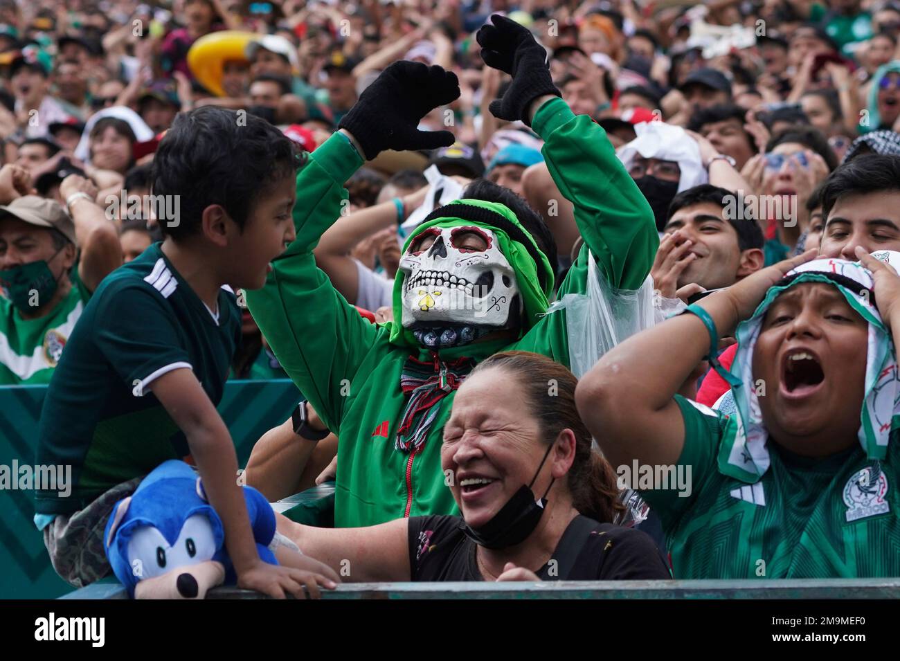 Mexican fans watch the soccer match against Saudi Arabia in the World ...