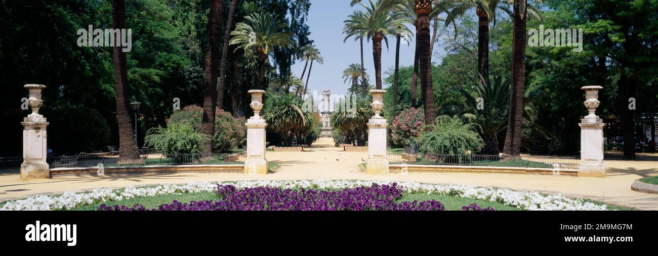 Trees in a garden, Murillo Garden, Seville, Seville Province, Andalusia ...