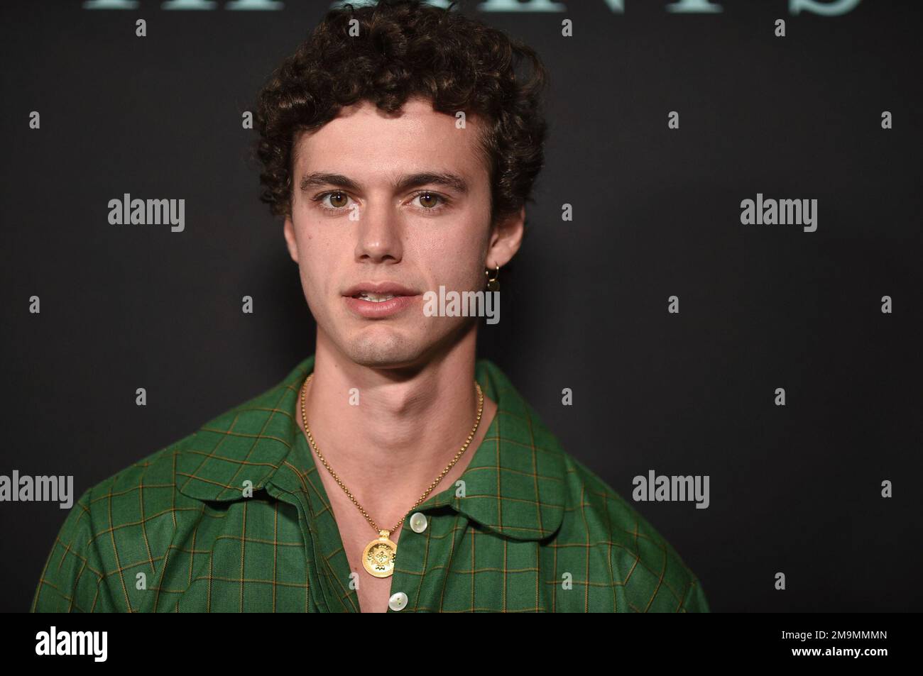 Pablo Kaestli arrives at the premiere of "Something From Tiffany's" on ...