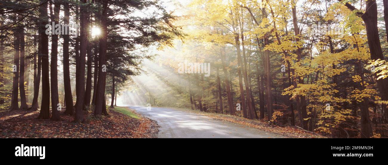 Chestnut ridge new york hi-res stock photography and images - Alamy