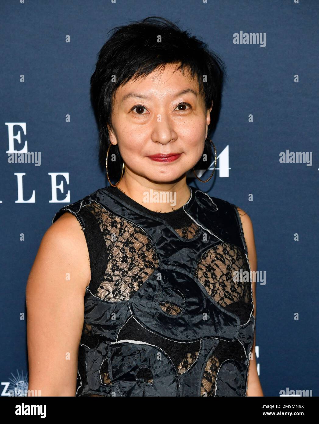 Cathy Park Hong attends the premiere of "The Whale" at Alice Tully Hall ...