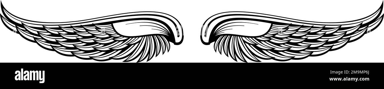 Bird wings insignia. Heraldic emblem. Angel label Stock Vector Image ...