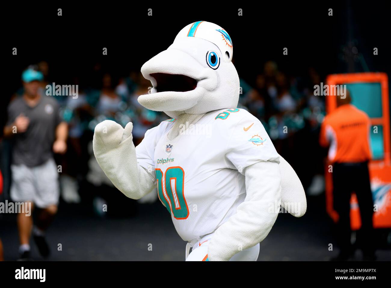 Dolphins Mascot 2022