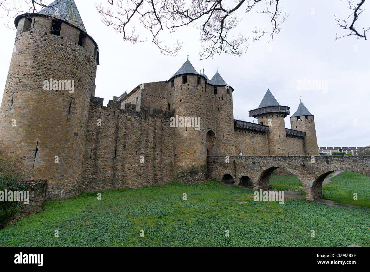 An image of an ancient castle in the green grass Stock Photo - Alamy