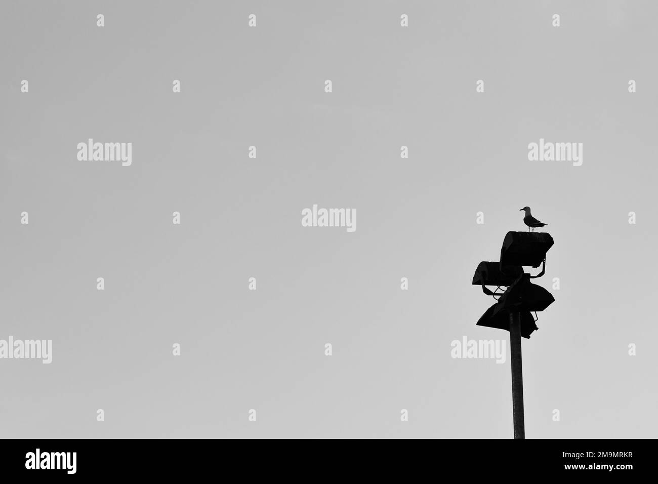 Angle of street Black and White Stock Photos & Images - Alamy