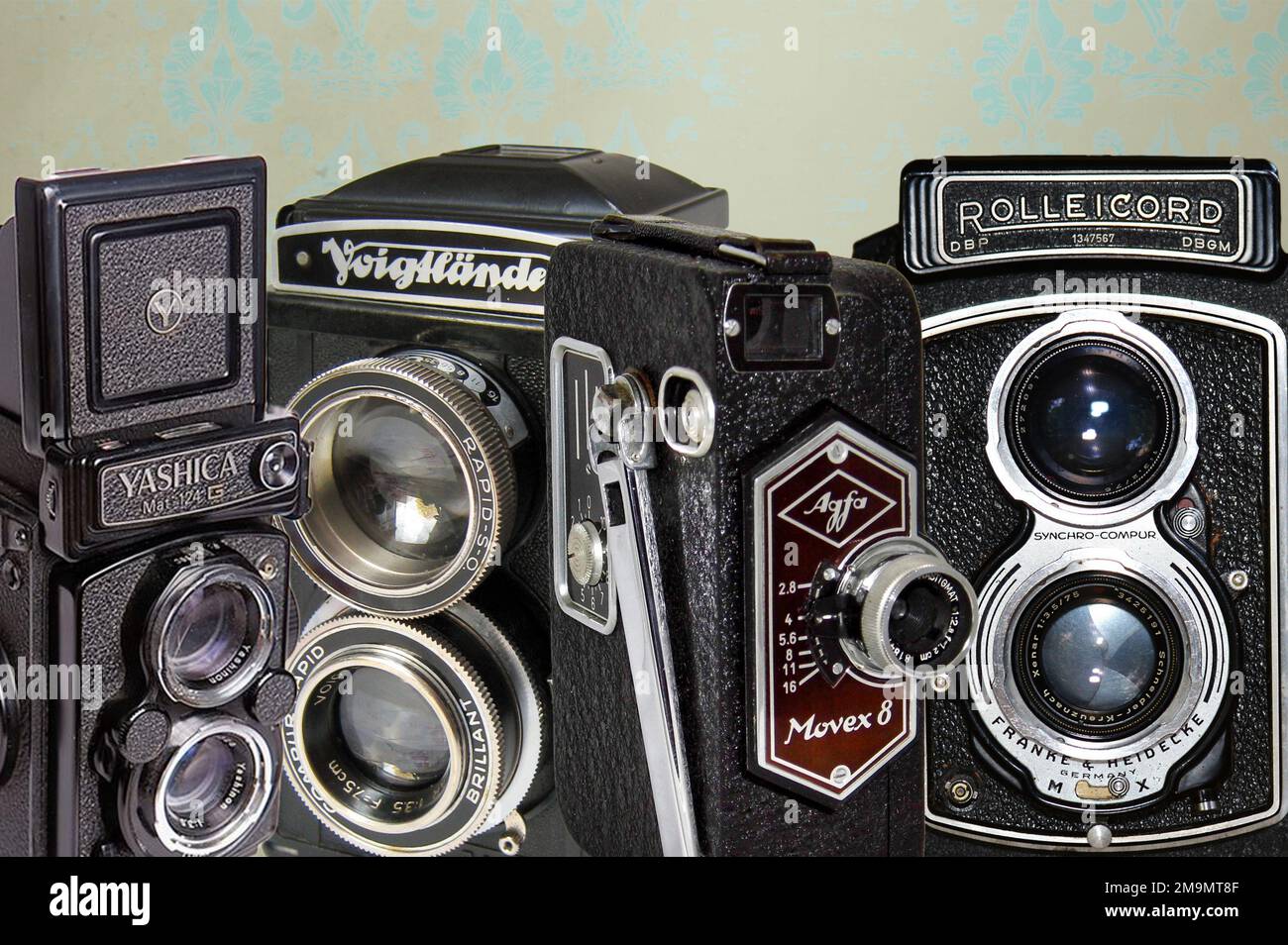 A collection of vintage cameras Stock Photo - Alamy