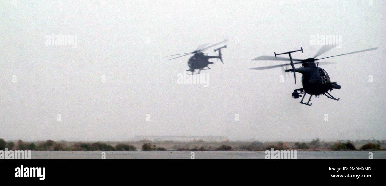 Freedom Bird Military