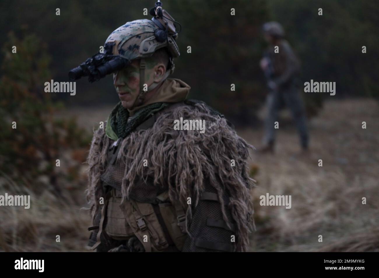 A U.S. Marine with Battalion Landing Team 2nd Battalion, 6th Marine ...