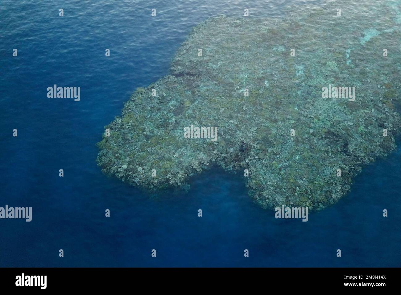 Corals on the Great Barrier Reef are visible below the waves above ...