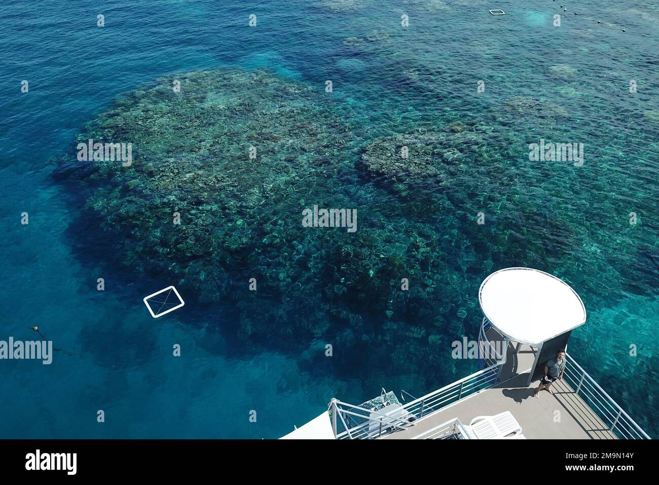 A section of the Great Barrier Reef sits below the deck of the Remoora ...