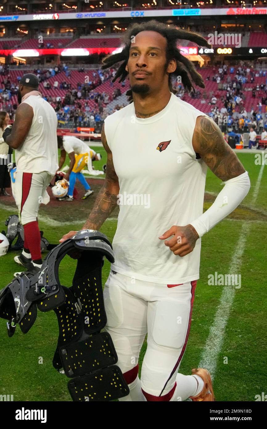 Arizona Cardinals wide receiver Robbie Anderson (81) during the first ...