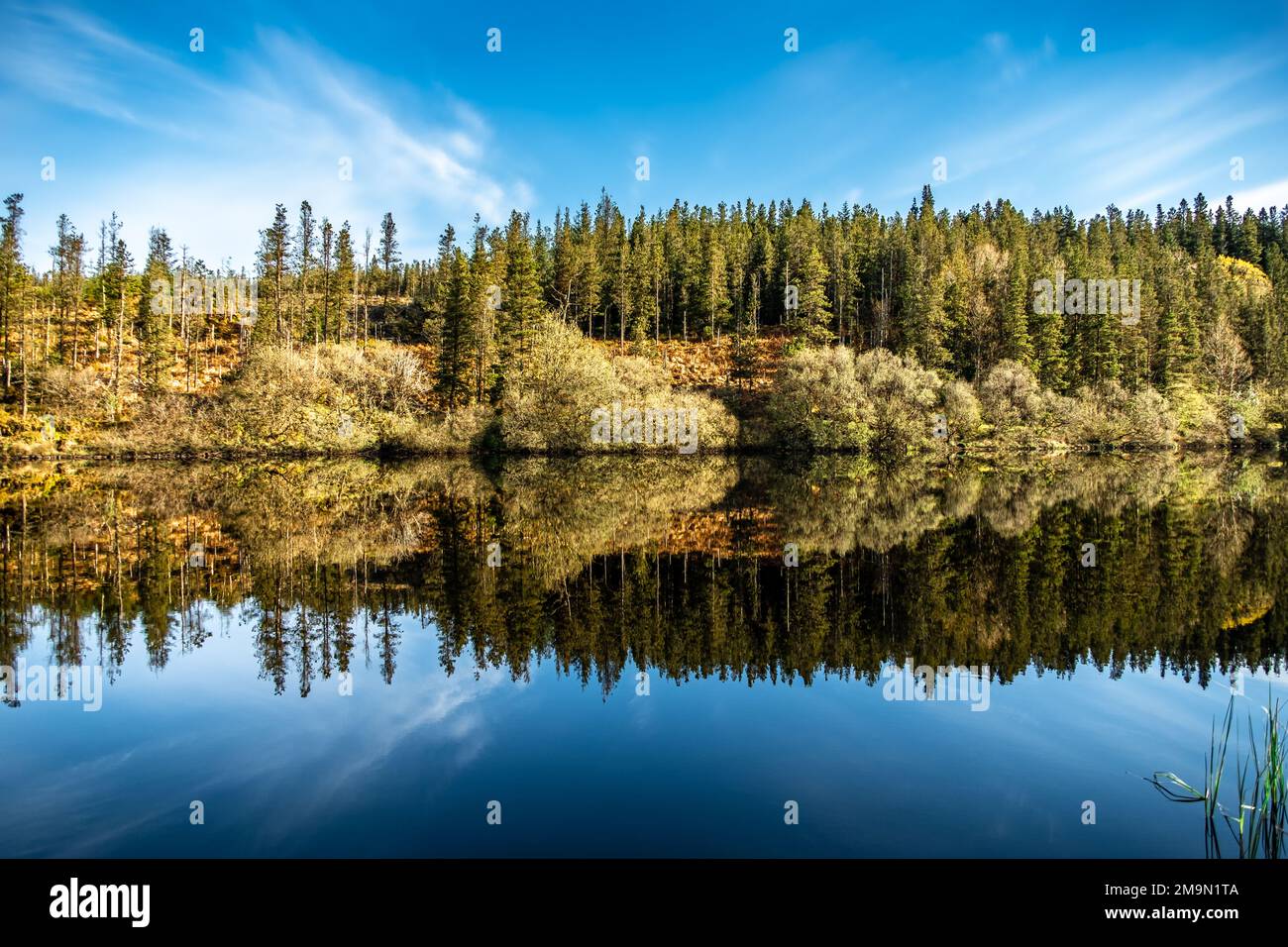 Lough Achork in early spring, Lough Navar Forest in Enniskillen, United ...