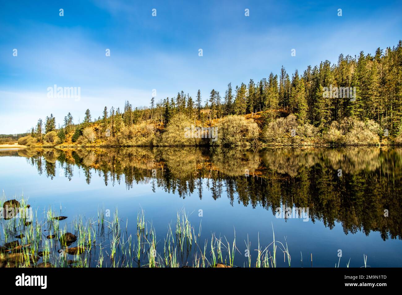Lough Achork in early spring, Lough Navar Forest in Enniskillen, United ...