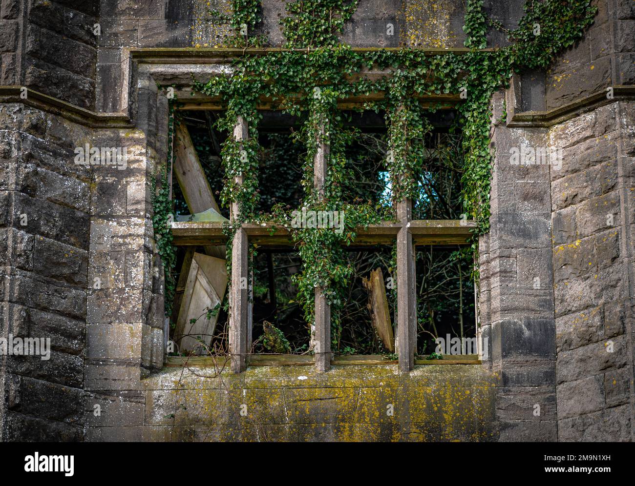 An ancient window covered in vegetation, of the historic Castle ...