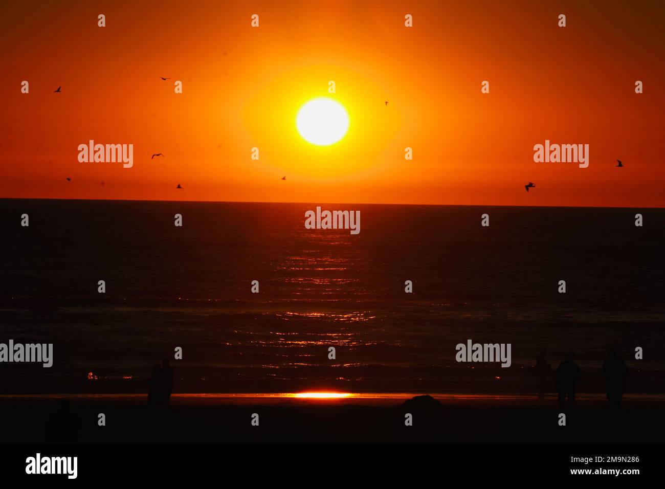 Sunset at the beach in Denmark Stock Photo - Alamy