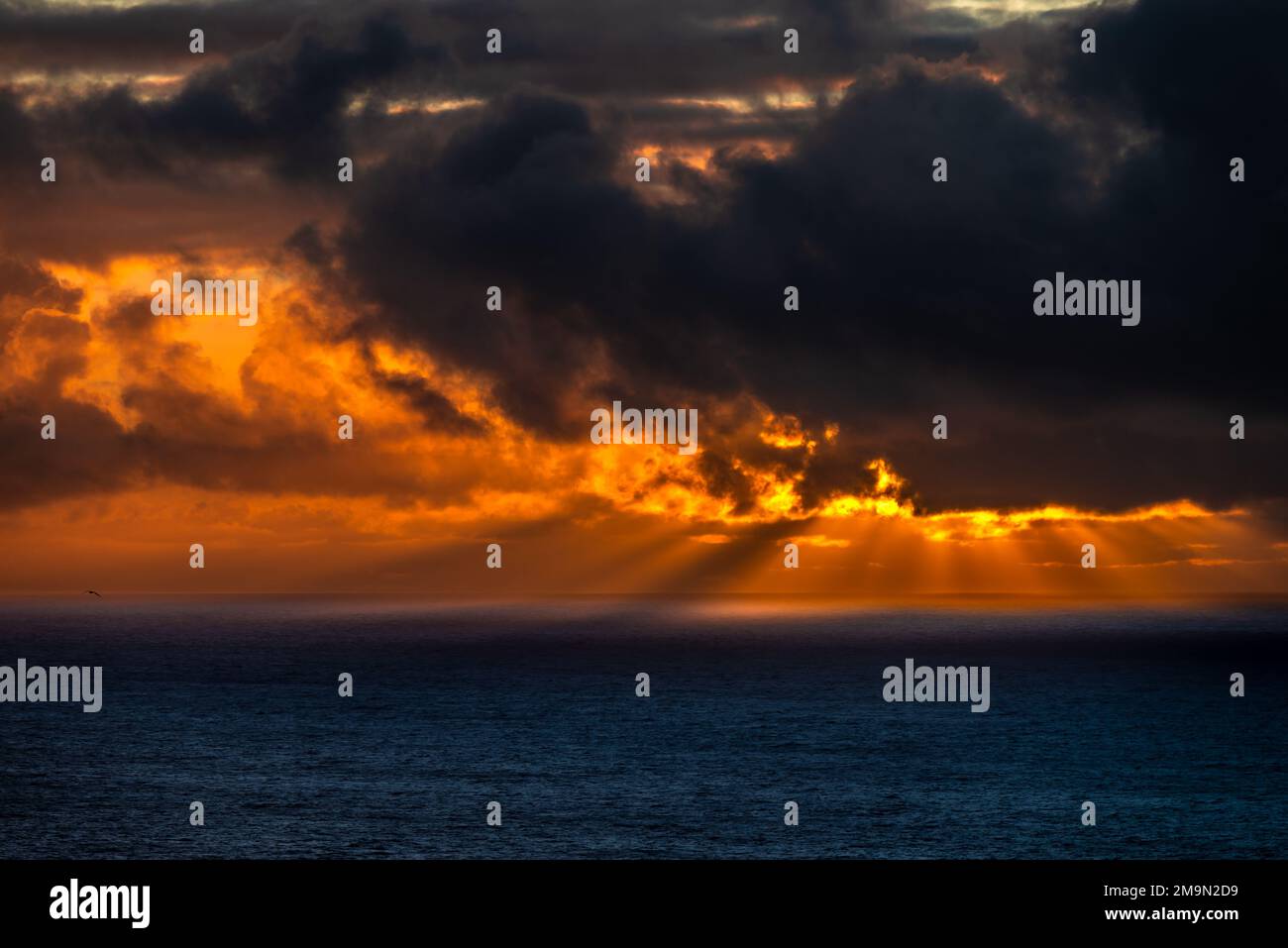 Coast atlantic ocean golden hi-res stock photography and images - Alamy