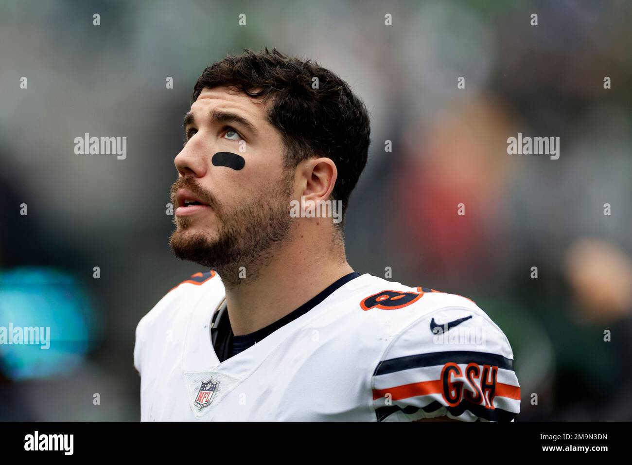 Chicago Bears tight end Ryan Griffin (84) waits to face the New York ...