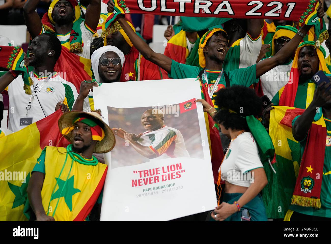 Senegal fans cheer during the World Cup group A soccer match between ...