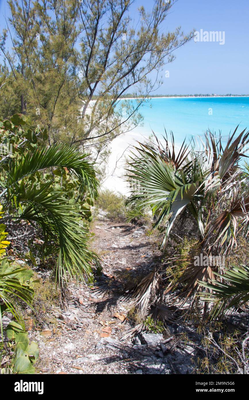 The scenic view of an entrance to the empty sandy beach on Half Moon ...