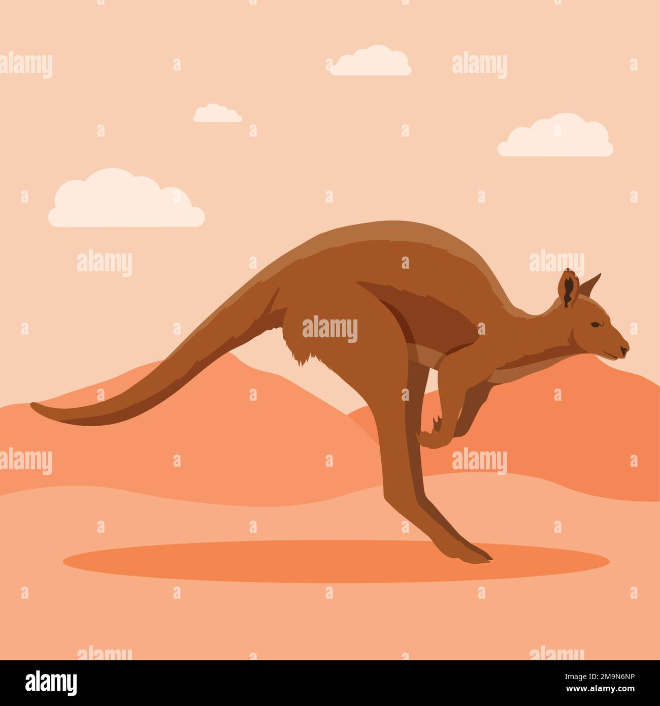 Jumping Kangaroo Gif