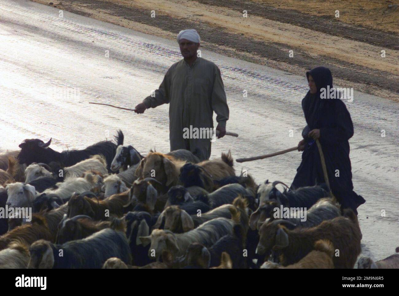 Iraqi family shepherds their herd of goats across a road near Az Zubayr ...