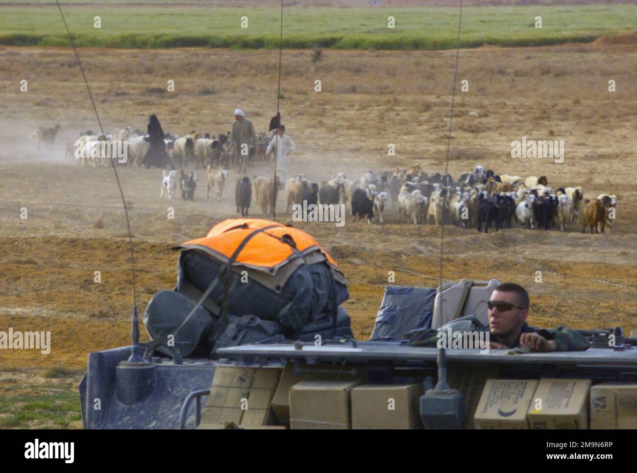 An Iraqi family shepherd their flock of goats and sheep near US Marine ...
