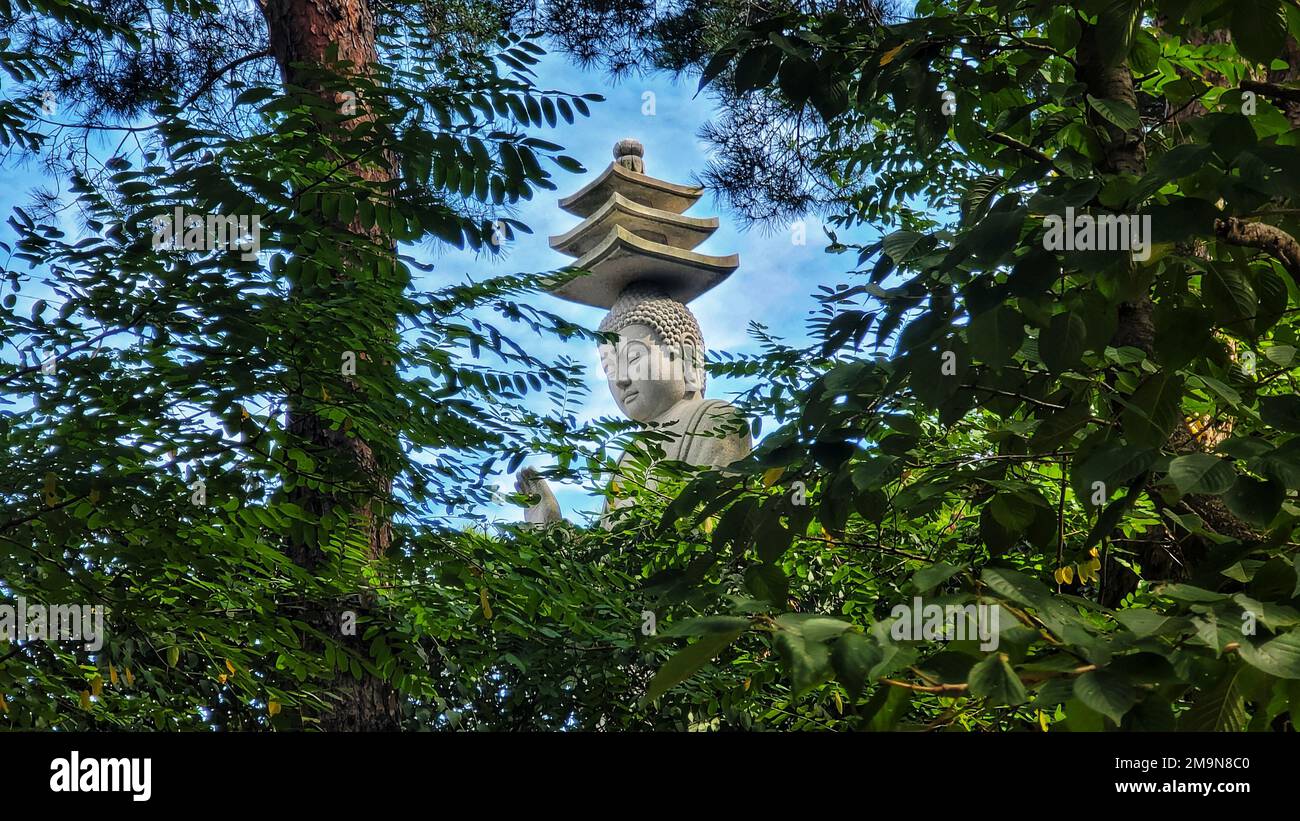 A Stone Buddha statue against a clear blue sky with green tree leaves ...