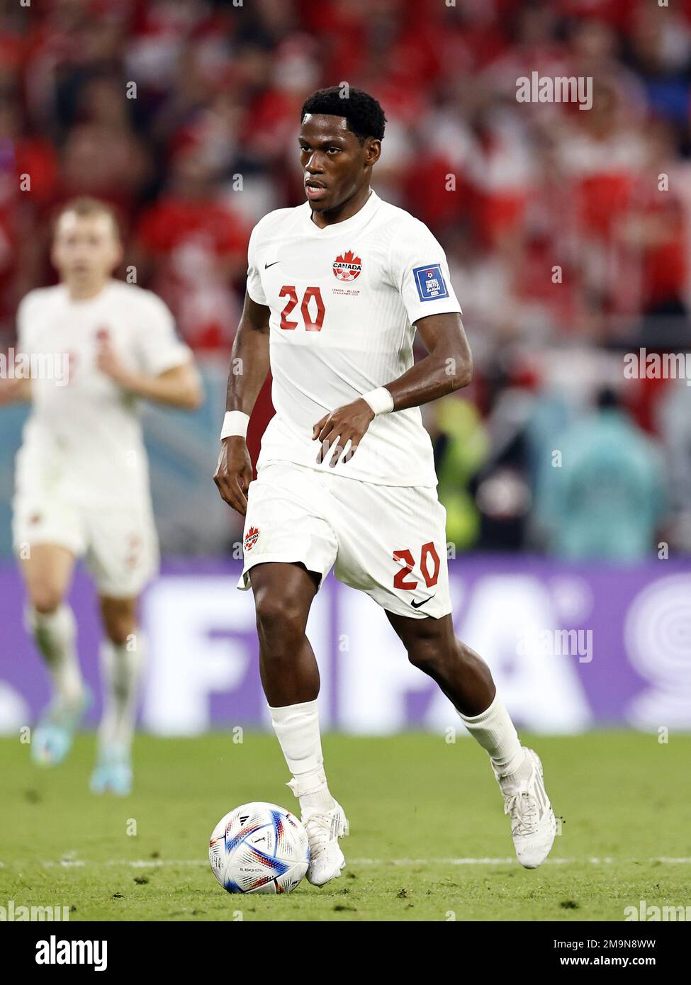 AL-RAYYAN - Jonathan David of Canada during the FIFA World Cup Qatar ...