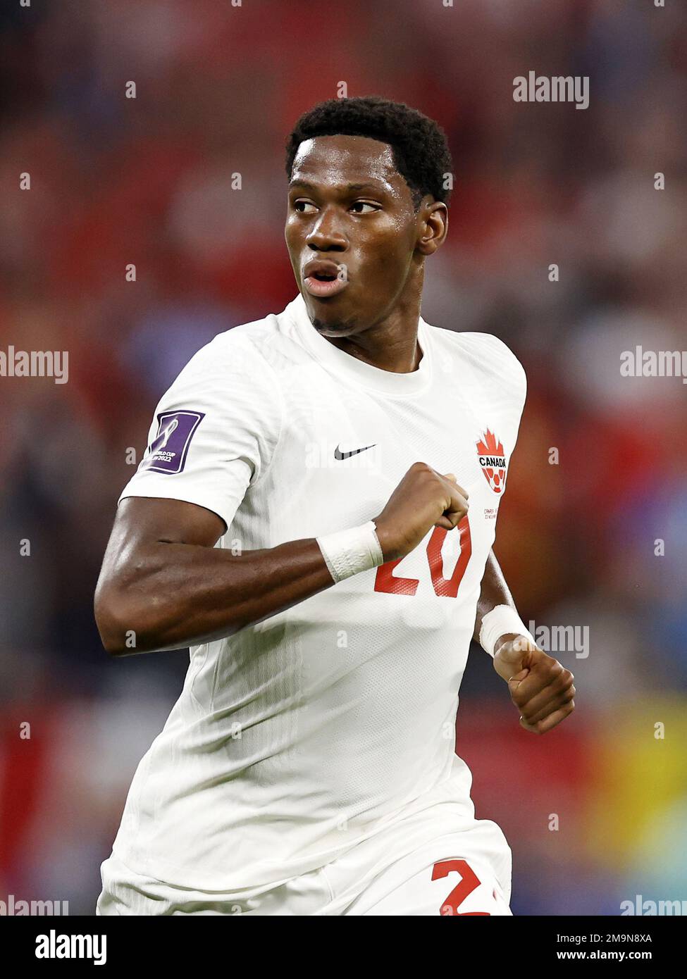 AL-RAYYAN - Jonathan David of Canada during the FIFA World Cup Qatar ...