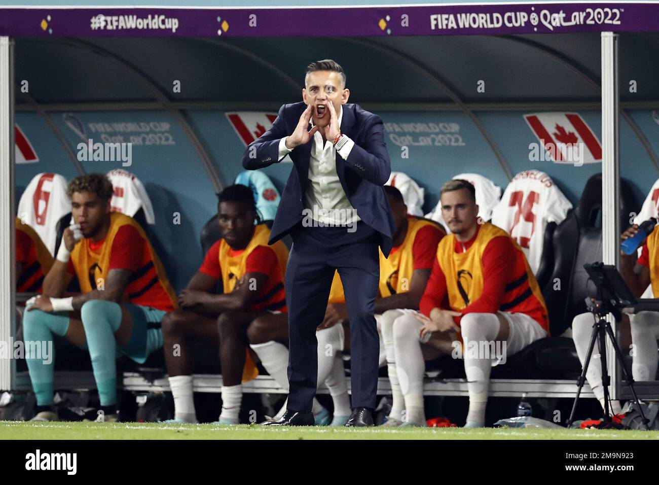 AL-RAYYAN - Canada coach John Herdman during the FIFA World Cup Qatar 2022 group F match between ...
