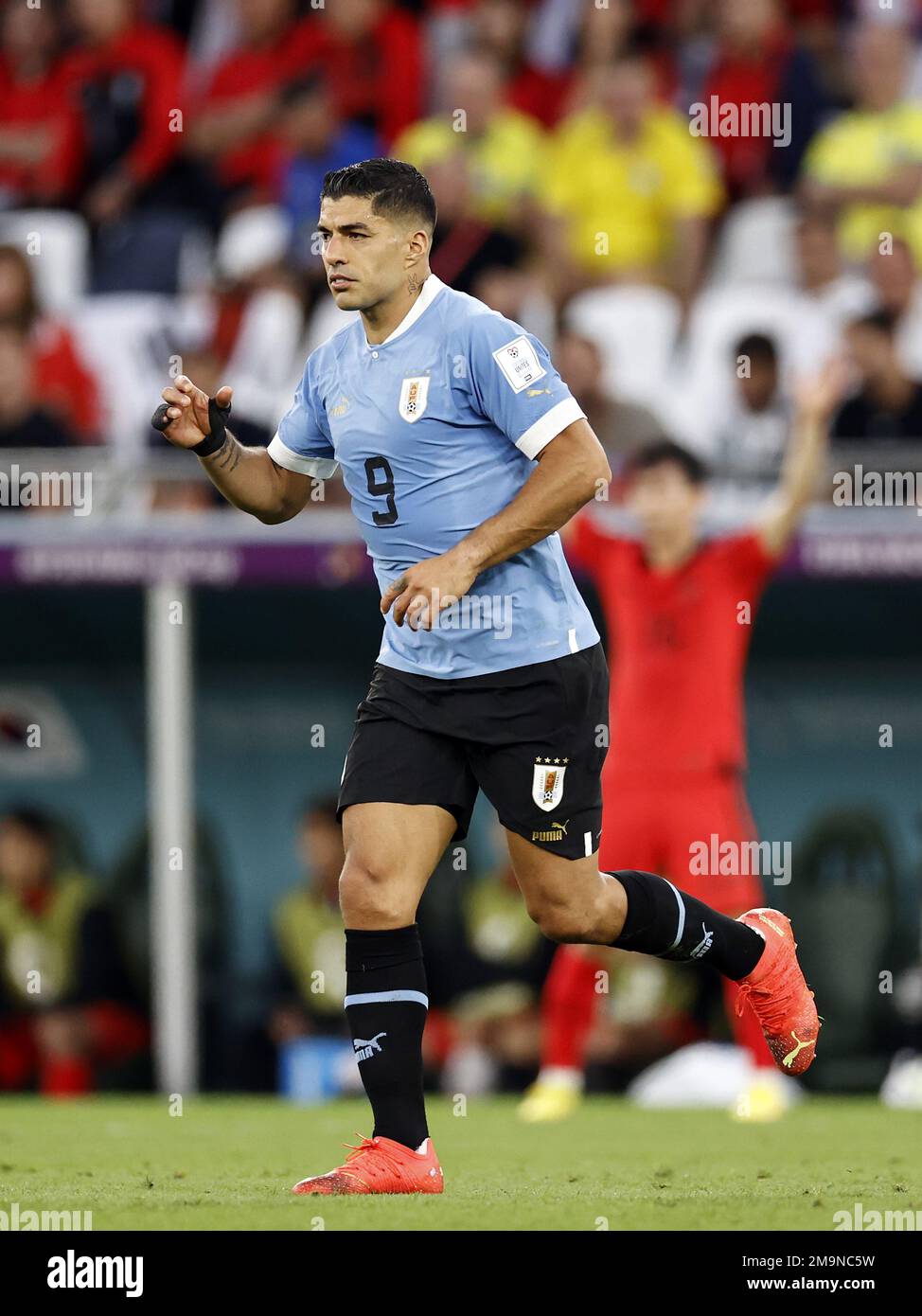 DOHA - Luis Suarez of Uruguay during the FIFA World Cup Qatar 2022 ...