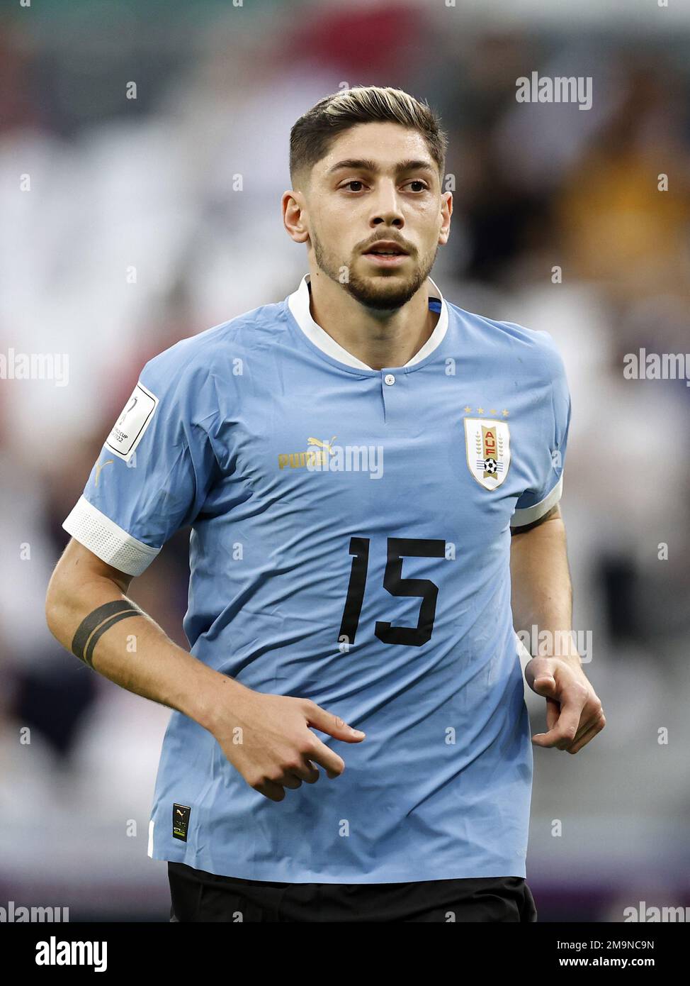 DOHA - Frederico Valverde of Uruguay during the FIFA World Cup Qatar ...