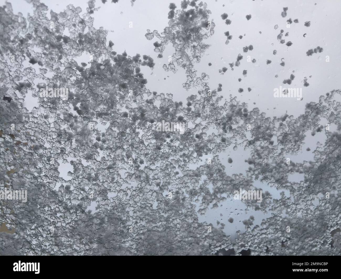 Texture of frozen drops and snow on frosted glass. Abstract textured ...