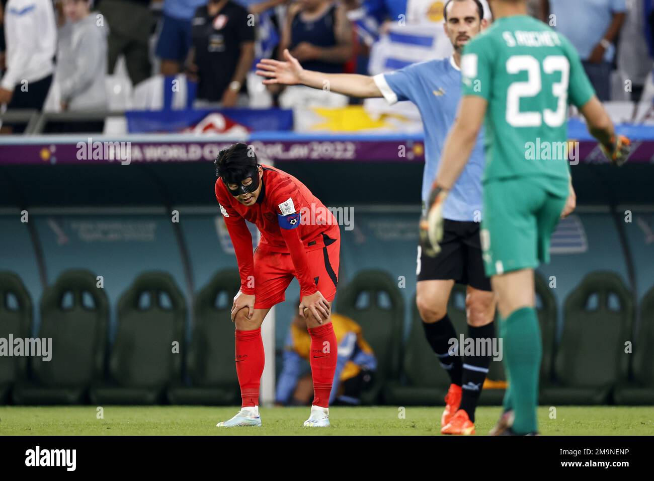 DOHA - Heung-min Son of Korea Republic, Diego Godin of Uruguay, Uruguay ...