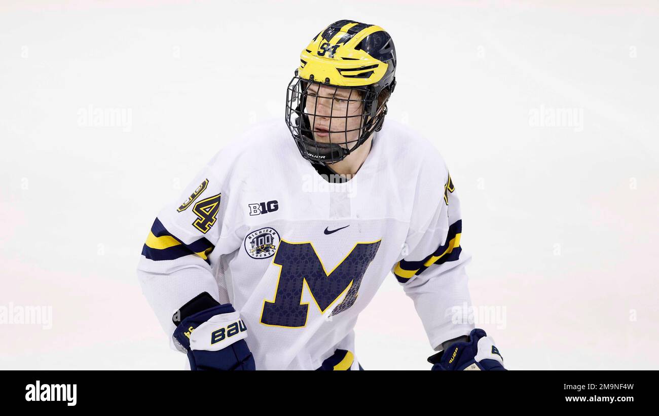 Michigan's Mark Estapa plays during an NCAA hockey game on Friday, Nov ...
