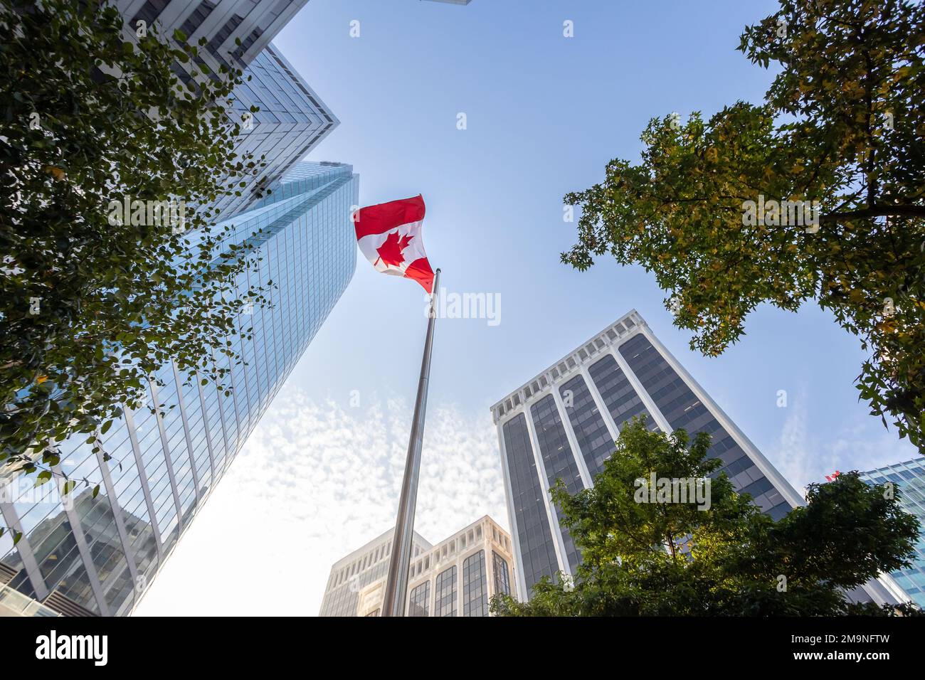 Corporate office building, Canadian flag waving, downtown business ...