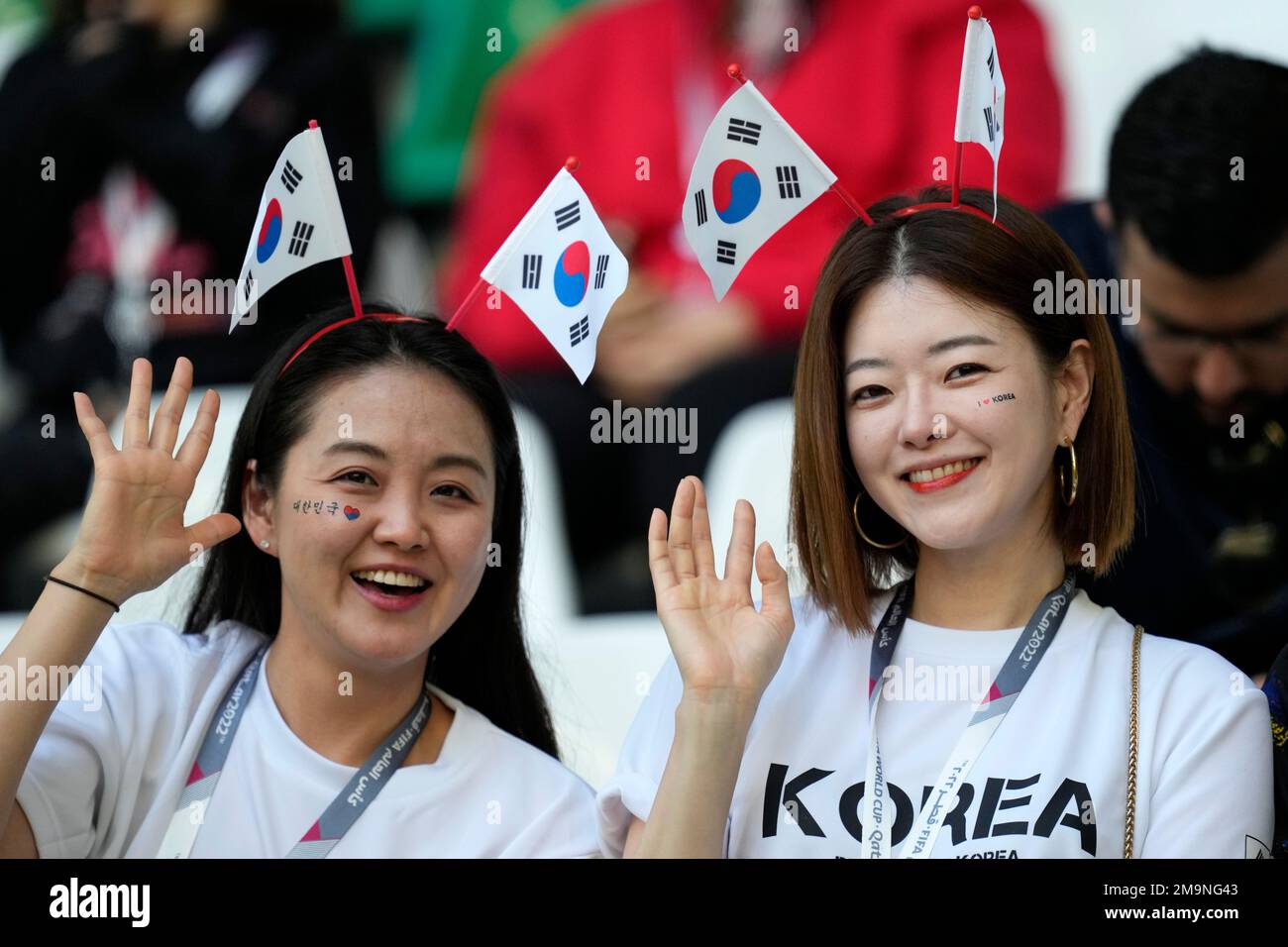 Supporters for South Korea wear flags at their heads before the World ...