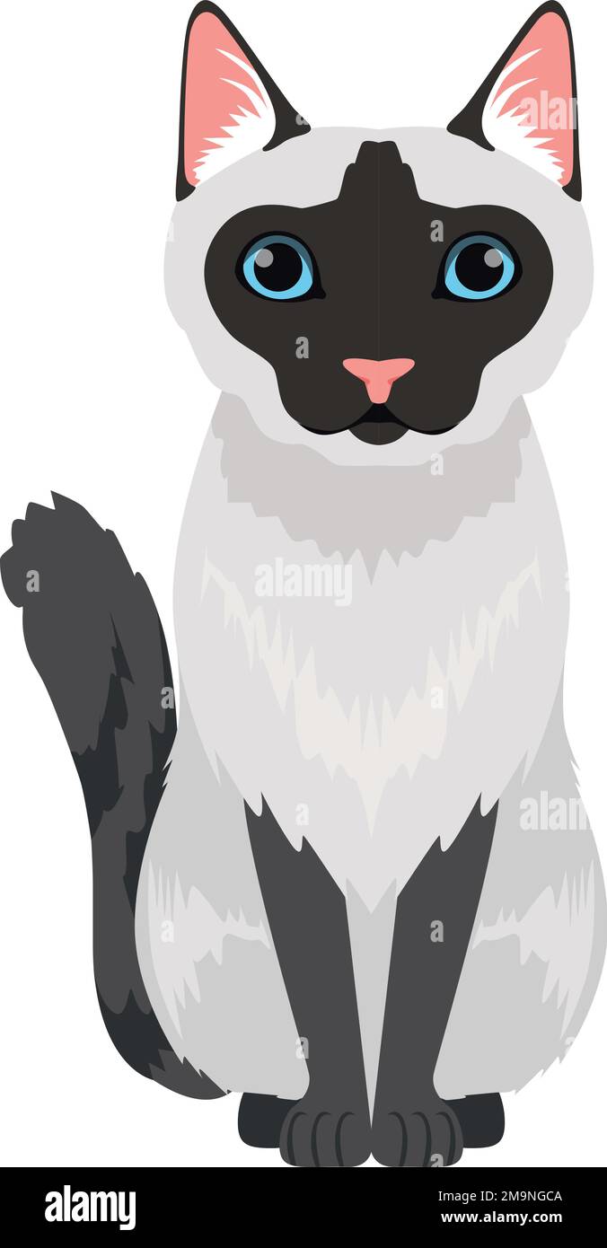 Siamese cat funny face Cut Out Stock Images & Pictures - Alamy