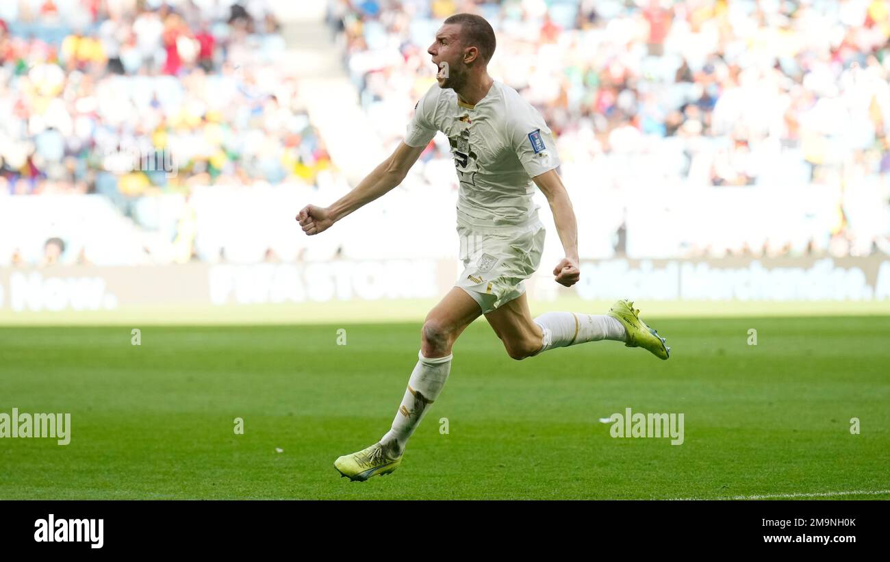 Serbia's Strahinja Pavlovic celebrates after scoring his side's opening ...
