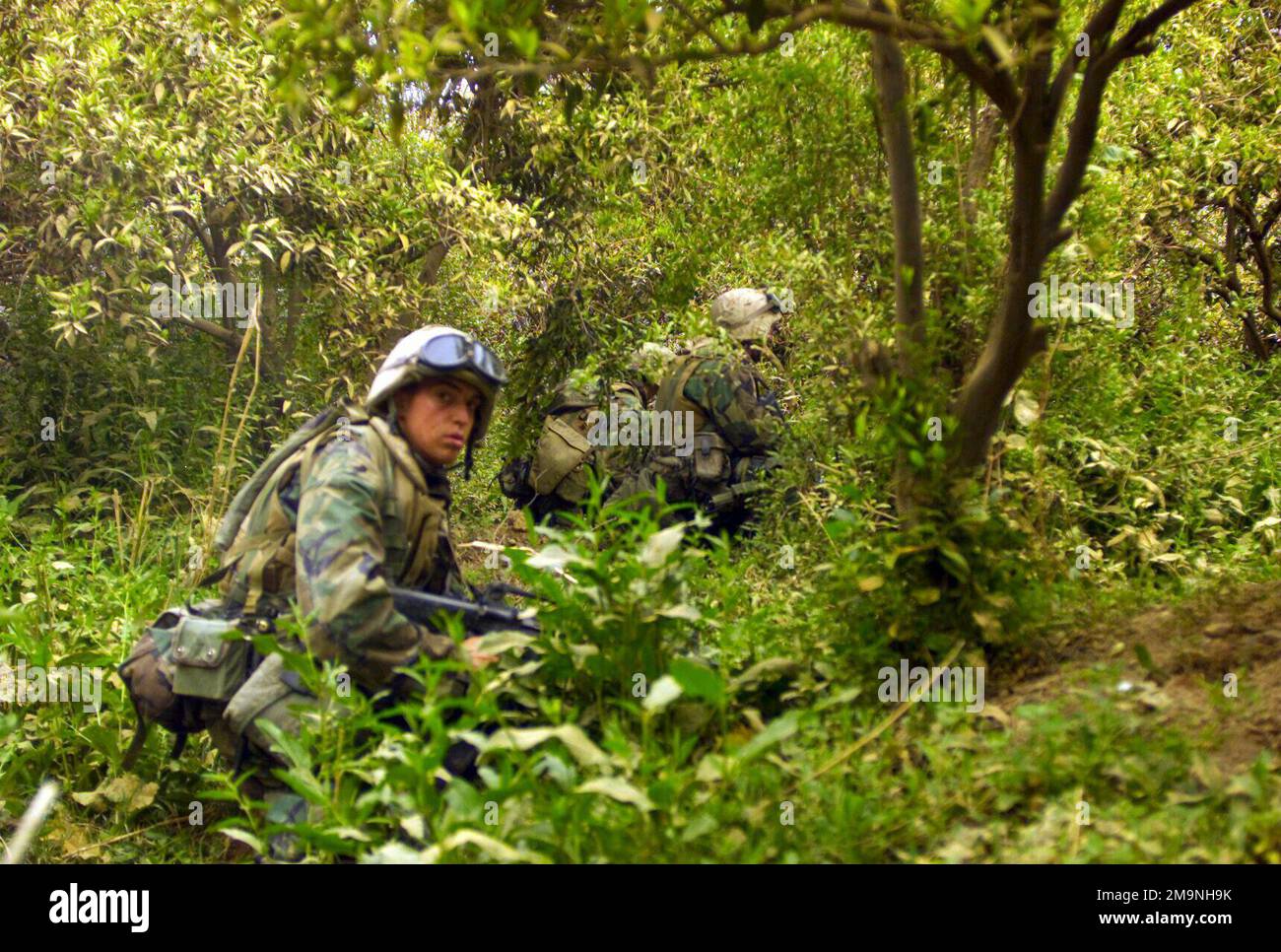 030410-M-5753Q-040. Subject Operation/Series: IRAQI FREEDOM Base: Qa ...