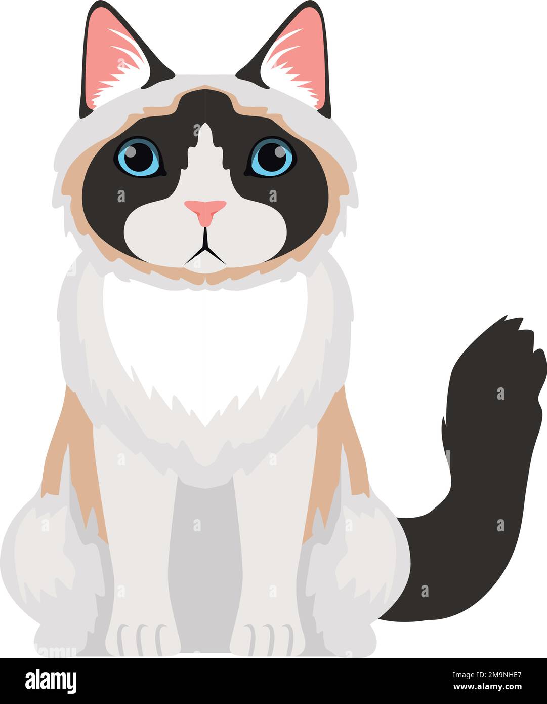 Fluffy cute cat sitting. Cartoon ragdoll breed icon Stock Vector Image ...