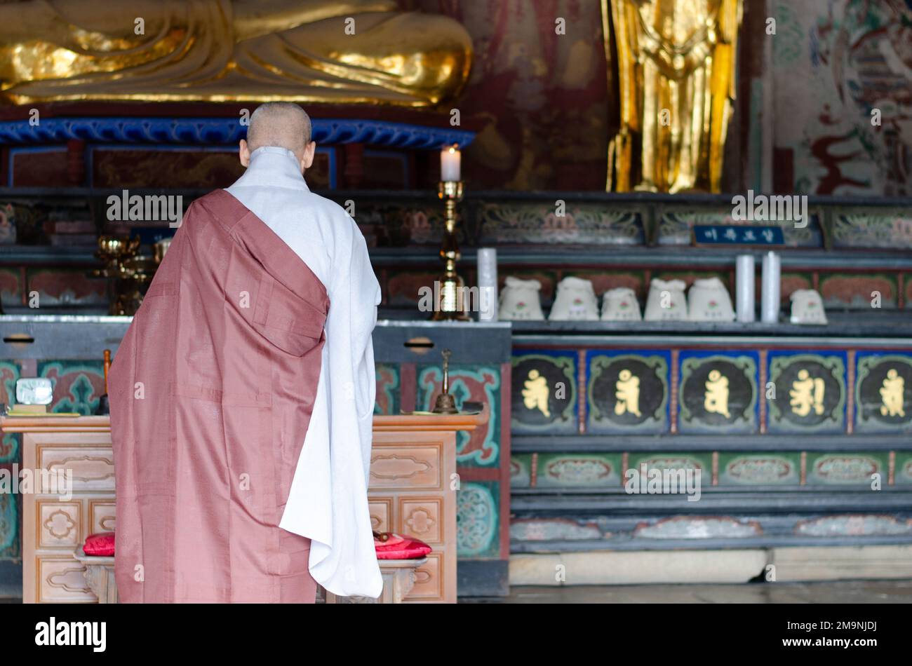 Buddhism monk praying in the buddha asian temple Stock Photo - Alamy