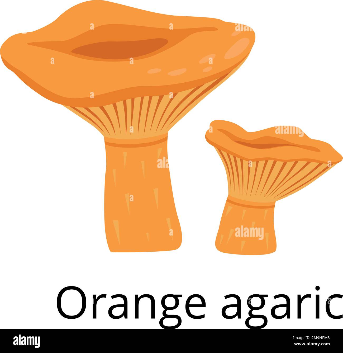 Fly agaric symbol autumn Cut Out Stock Images & Pictures - Alamy