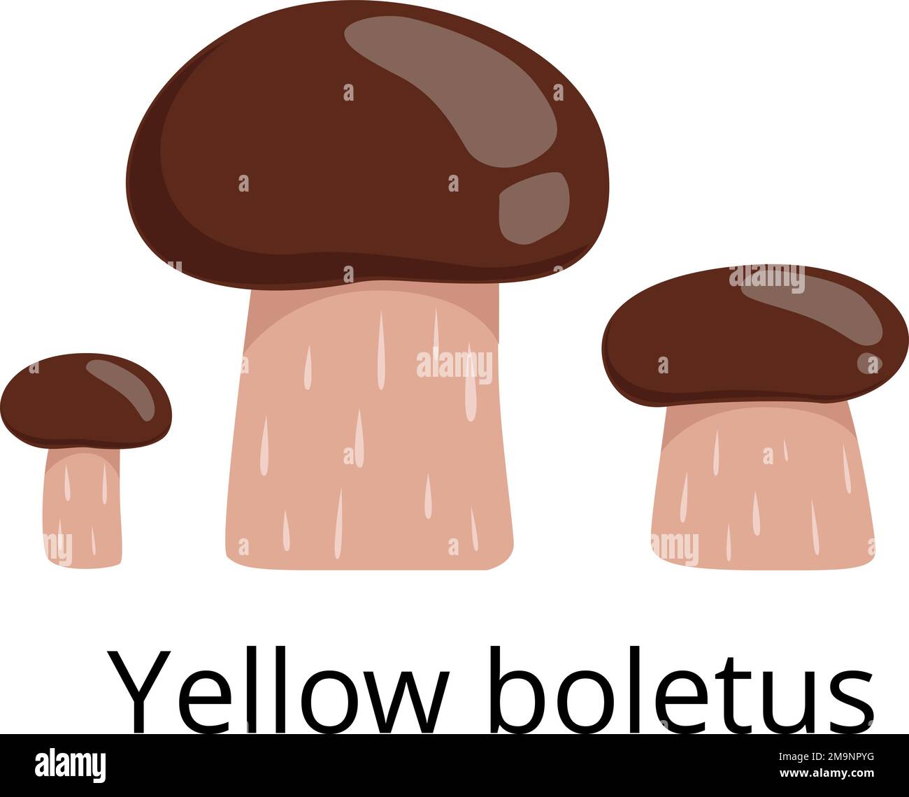 Yellow boletus icon. Raw mushroom. Cartoon fungus Stock Vector Image ...