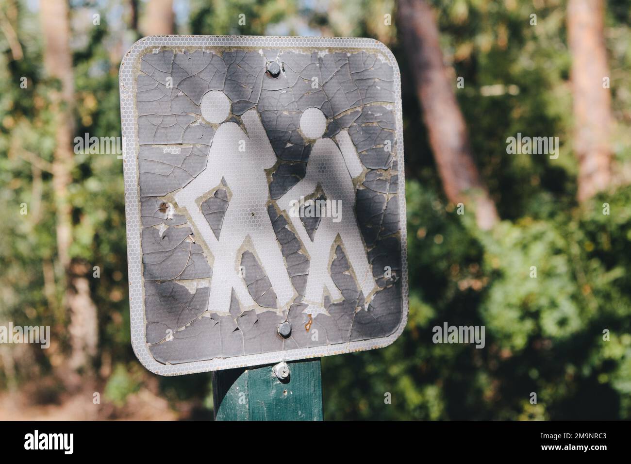Nature trail sign at Florida park Stock Photo - Alamy