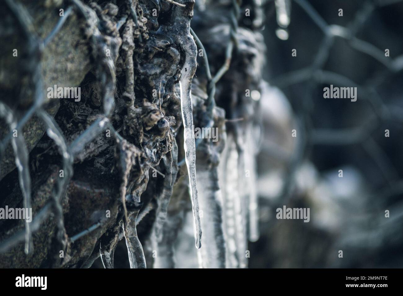 Close up dripping ice hi-res stock photography and images - Alamy