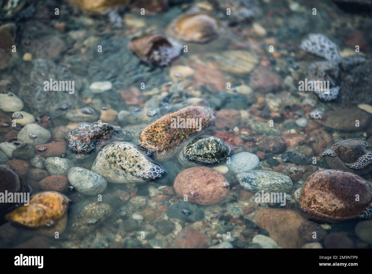 Smooth sea stones. Sea shore. Background Stock Photo - Alamy