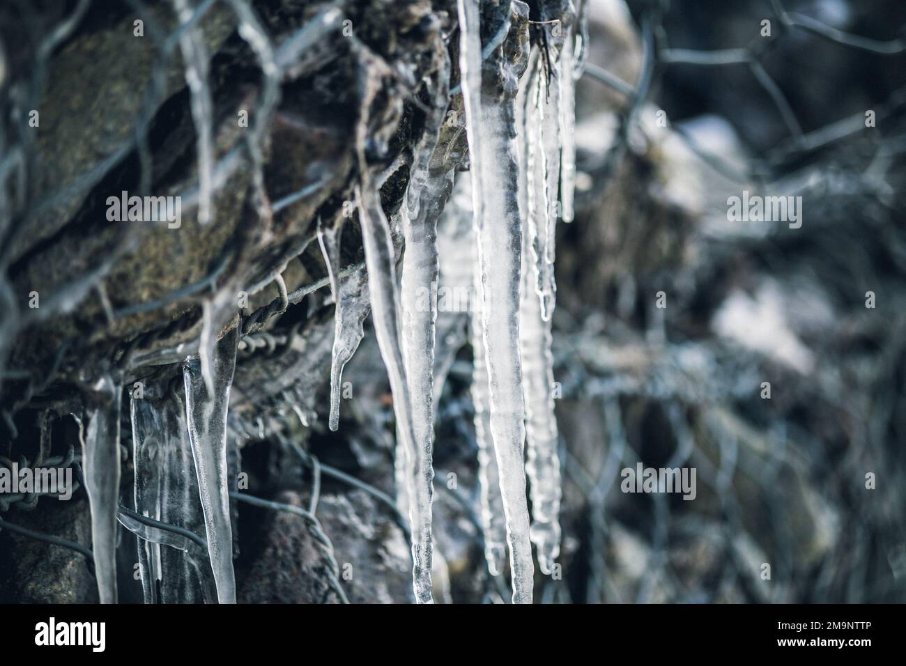 Winter icicles dripping in the sun Stock Photo - Alamy