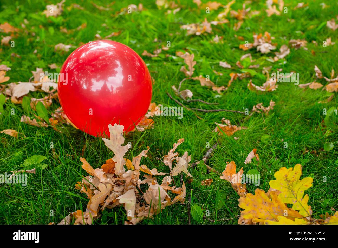 Girl balloon grass hi-res stock photography and images - Alamy